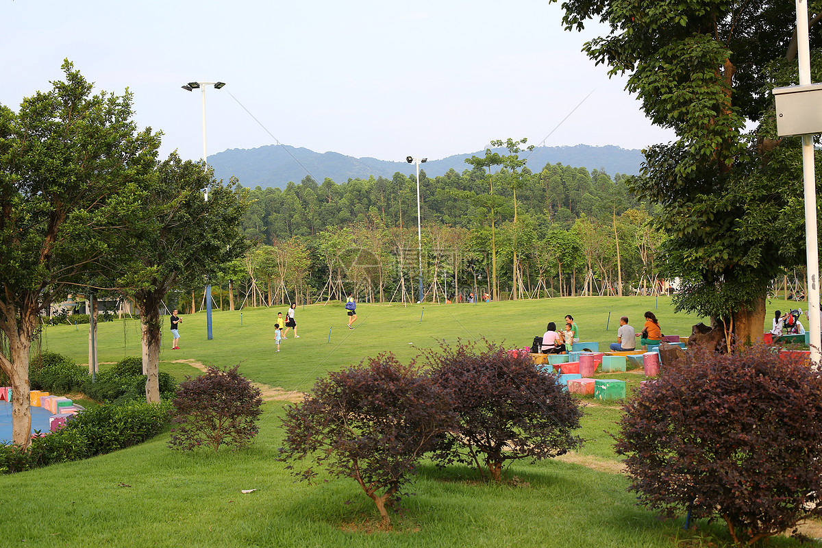 公园绿色草地高清图片下载-正版图片500698527-摄图网